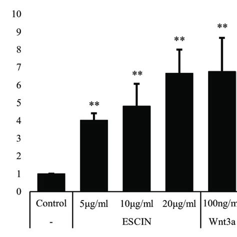 Escin Activated Wntβ Catenin Signaling In Hek293 Wnt Tcflef