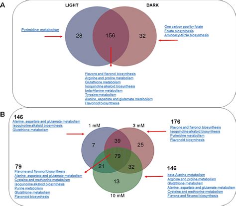 Light And Hco 3 − Concentration Dependent Common And Unique Metabolites