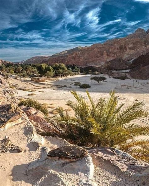 الرئيس السيسى قدم كل أشكال الدعم المختلفة لتنمية وتعمير أرض الفيروز