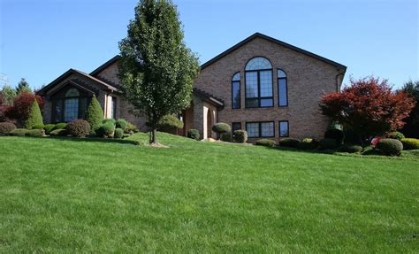 Areas Served Green Giant Home And Commercial