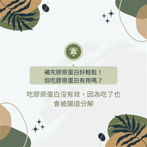 美洛娜膠原蛋白and益生菌