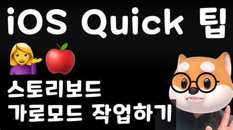 🍎 💁‍♀️ Ios Quick Tip 스토리보드 가로모드 Youtube