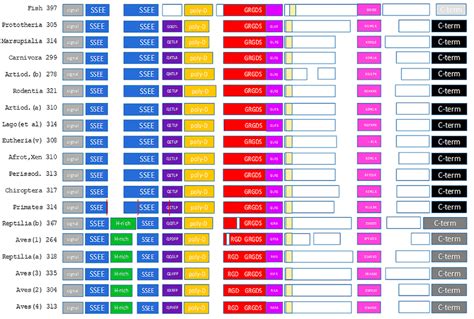 The Domain Structure Of Osteopontin Known Subunits Are Displayed As