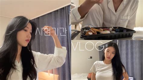 Vlog