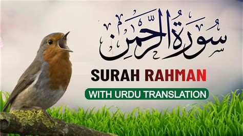 Surah Rahman Beautiful Tilawat E Quran Ep 1145 سورۃ رحمن Alif Mag