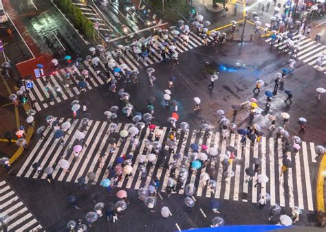 도쿄 여행중 비오는 날에 추천하는 18가지 비에 젖지 않고 즐기는 관광 코스 소개 Live Japan 일본여행·추천명소·지역정보