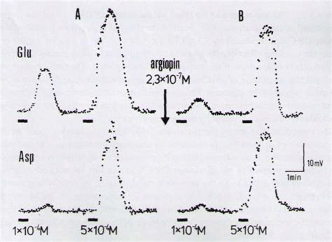 Responses Of Motoneurone In Isolated Frog Spinal Cord To The Addition