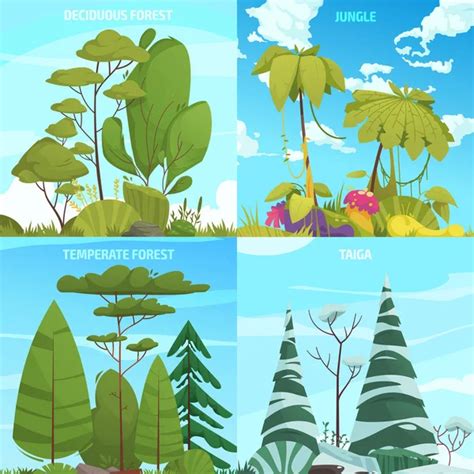 Ecosystem Types Cartoon Set Marshes Grassland System Compositions Isolated Vector Vetor De