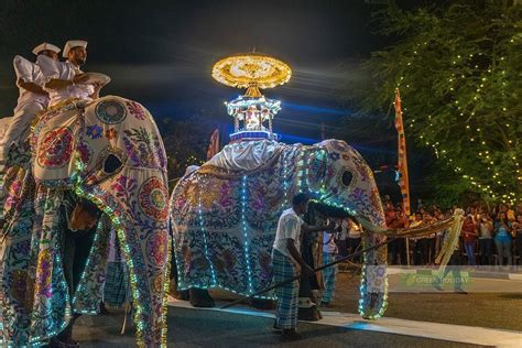 Gangaramaya Navam Maha Perahera A Vibrant Religious Festival That