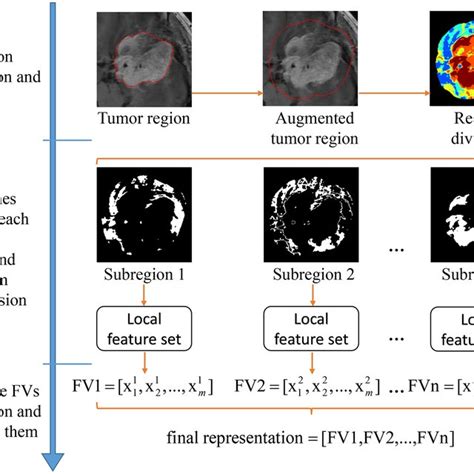 Workflow Of The Proposed Feature Extraction Framework Download