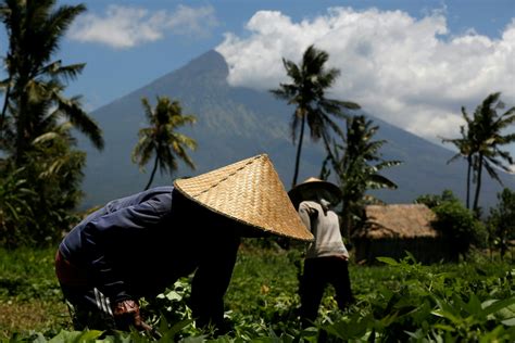 Kegiatan Ekonomi Di Bidang Pariwisata Rexdarbaud