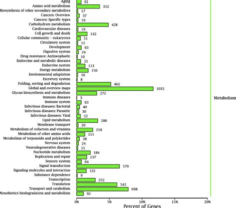 Kegg Pathway Distribution Of Unigenes The Ordinate Left Is The Name