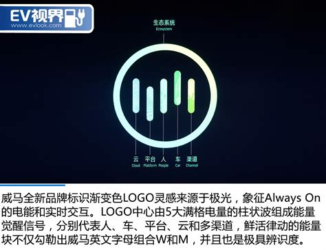 威马汽车品牌正式发布 首款纯电动suv亮相 Ev视界