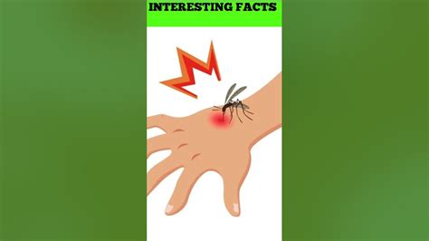 Jannat Puchne Ke Liye Etna Kafi H Youtube