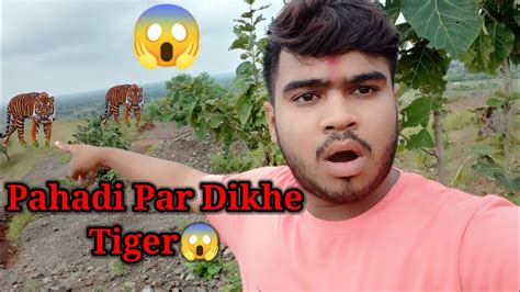 Pahadi Par Dikhe Tiger ।। Tiger On The Hill 🐯😱 Youtube