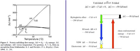20 Protein Folding Chemistry Libretexts