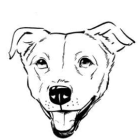 Personalised Book Stamp Library Stamp Flower Stamp Custom Stamp Personal Library Book