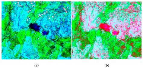 Comparison Between Bi Temporal Representations A Level 1α Product
