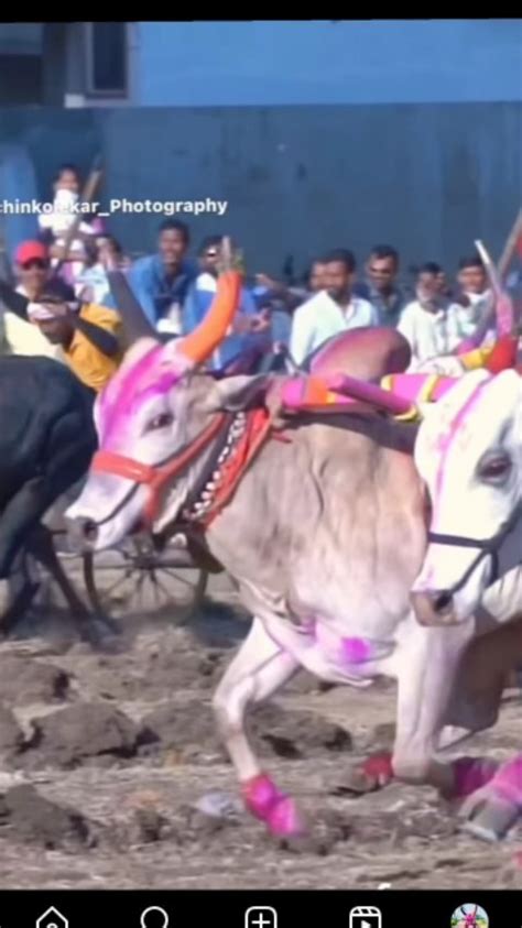 देव माझा बकासुर Hindkesribakasur6300 • Instagram Photos And Videos