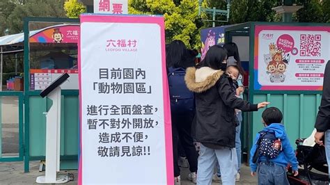 六福村遭爆狒狒逾250隻 林務局偕專家進駐勘驗｜四季線上4gtv