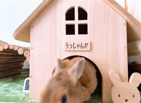 眠くない時 ushamaruのブログ