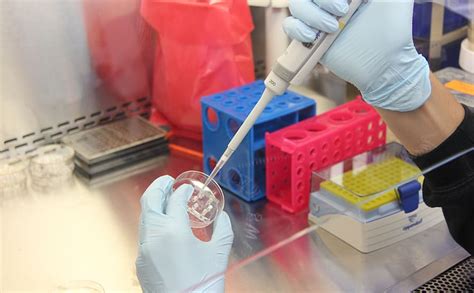 What Is Chip Seq And Is It Quantitative After All Cell And Molecular Biology