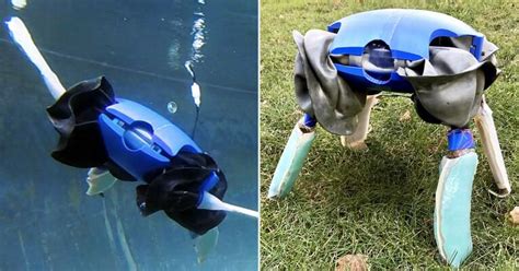 With Morphing Limbs A Robot That Travels By Land And Water