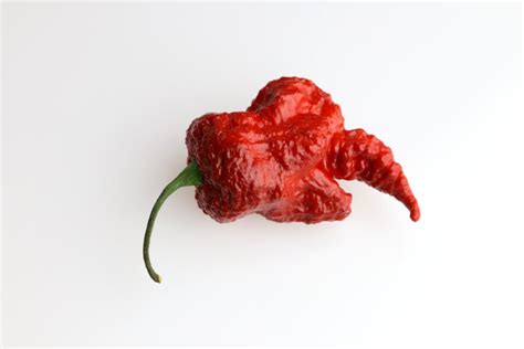 Spicy Component Red Free Photos On