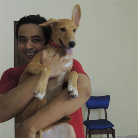 Ankit Bhatnagars Profile