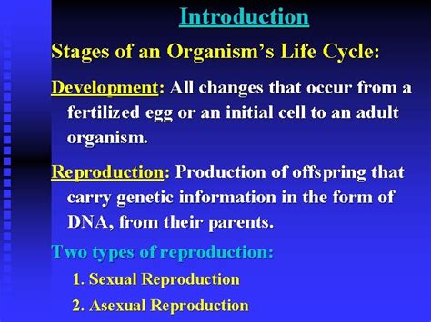 Chapter 8 The Cellular Basis Of Reproduction And