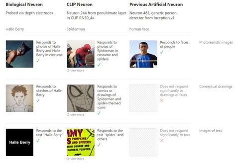 openai discovers ai neuron previously known only from humans