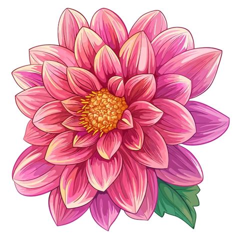 Premium Vector Dahlia Flower