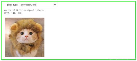 【simpleitk 学习笔记】01安装与图像读写simpleitk Readimage C Csdn博客