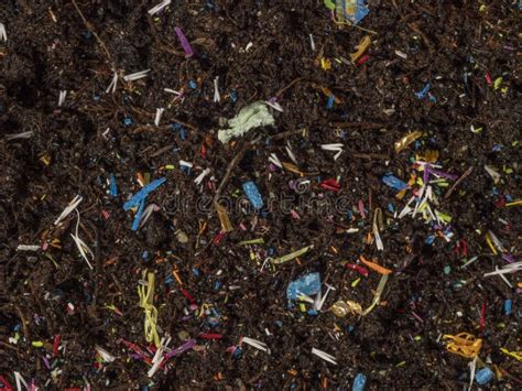 Microplastics In Soil A Test Tube With Soil Sample Stock Image Image Of Laboratory Parts