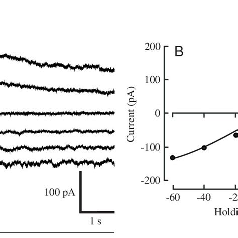 Whole Cell Current Responses Of A Representative Olfactory Receptor