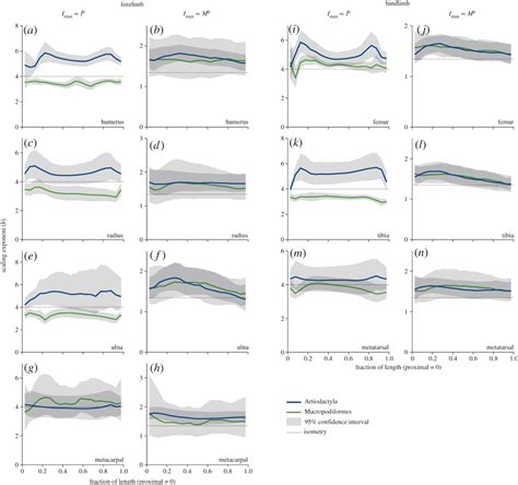 A N Scaling Exponents For Second Moment Of Area Imax Versus Bone Download Scientific