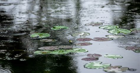 江南华南对流活跃局地或现暴雨 四川盆地等地高温闷热持续深圳新闻网