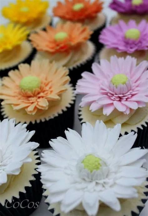 Gerbera Daisy Cupcakes Decorated Cake By Lynette Brandl Cakesdecor