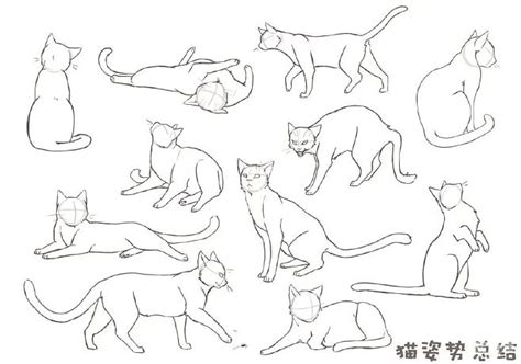 猫和狗区别画法，从五官到姿势的详细教程！