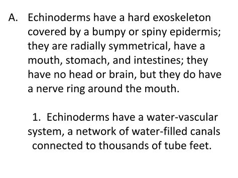 Echinoderms Ppt