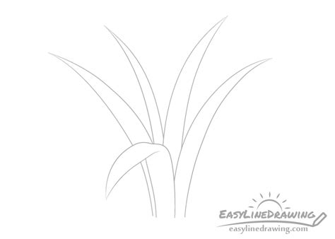 How To Draw Grass Step By Step Easylinedrawing