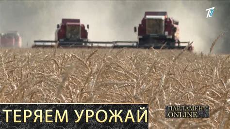 Крестьяне просят помощи у государства Youtube