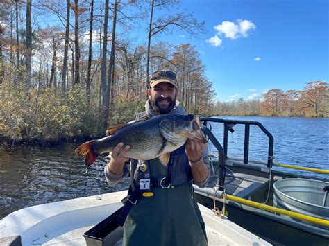 Meet The Chowan River Bass Pro Tour Heads To New Waters For Stage Five