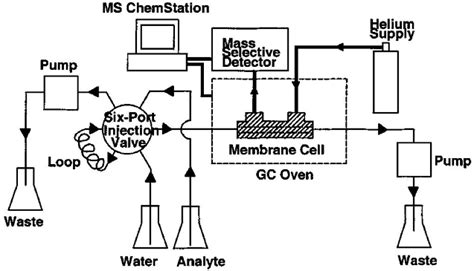 Schematic Representation Of The Membrane Introduction Mass Spectrometry