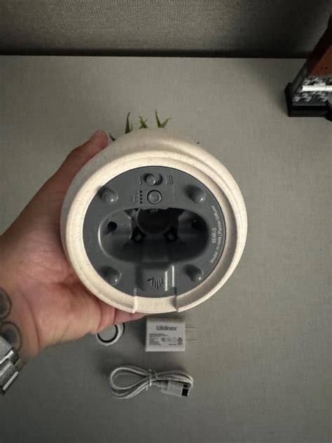 Lifelines Grass Plant Diffuser Macys