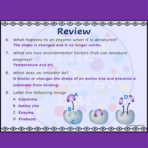 Enzyme Notes PPT And Babe Notes Made By Teachers