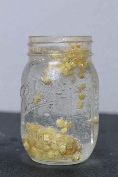 How To Do The Dancing Popcorn Experiment