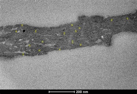 Australian Fossil Suggests Photosynthesis Evolved At Least 1 75 Billion Years Ago Tech And
