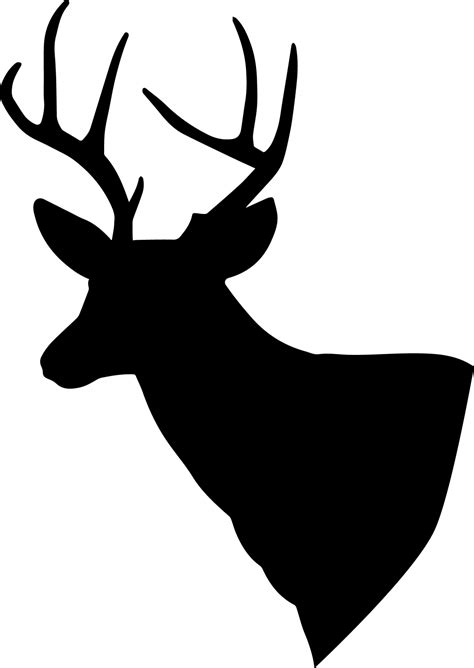 Edit Free Photo Of Deerdeer Silhouettesilhouetteanimalwild
