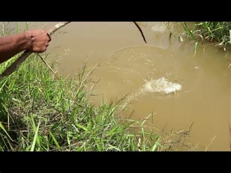 Mancing Ikan Yang Paling Besar